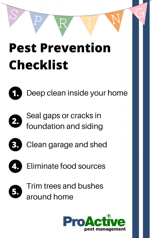Spring Pest Prevention in Illinois | ProActive Pest Management