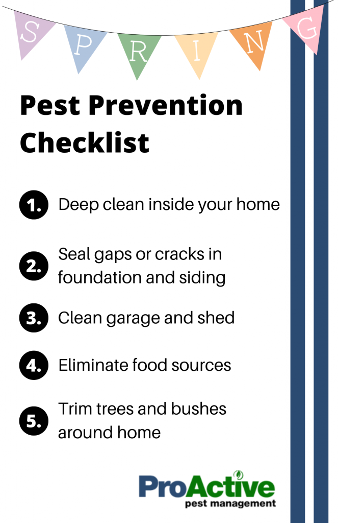 Spring Pest Prevention in Illinois | ProActive Pest Management